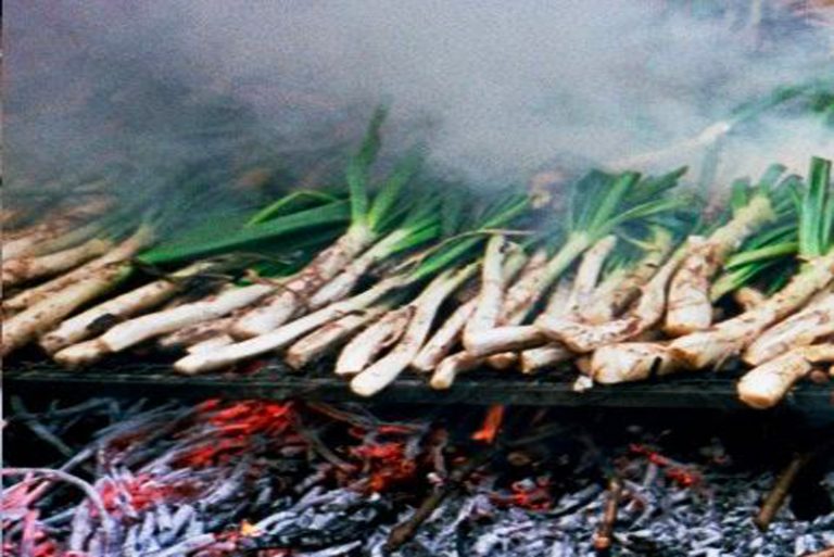 Discovering the calçots in Barcelona - Real Barcelona Tours